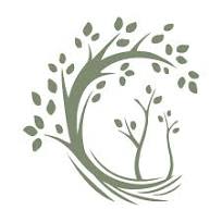 Digital Adoption Plan